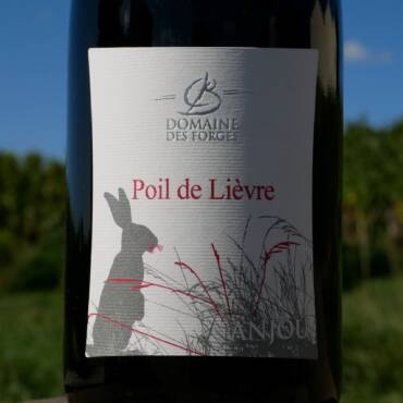 Nos Vins - Domaine des Forges