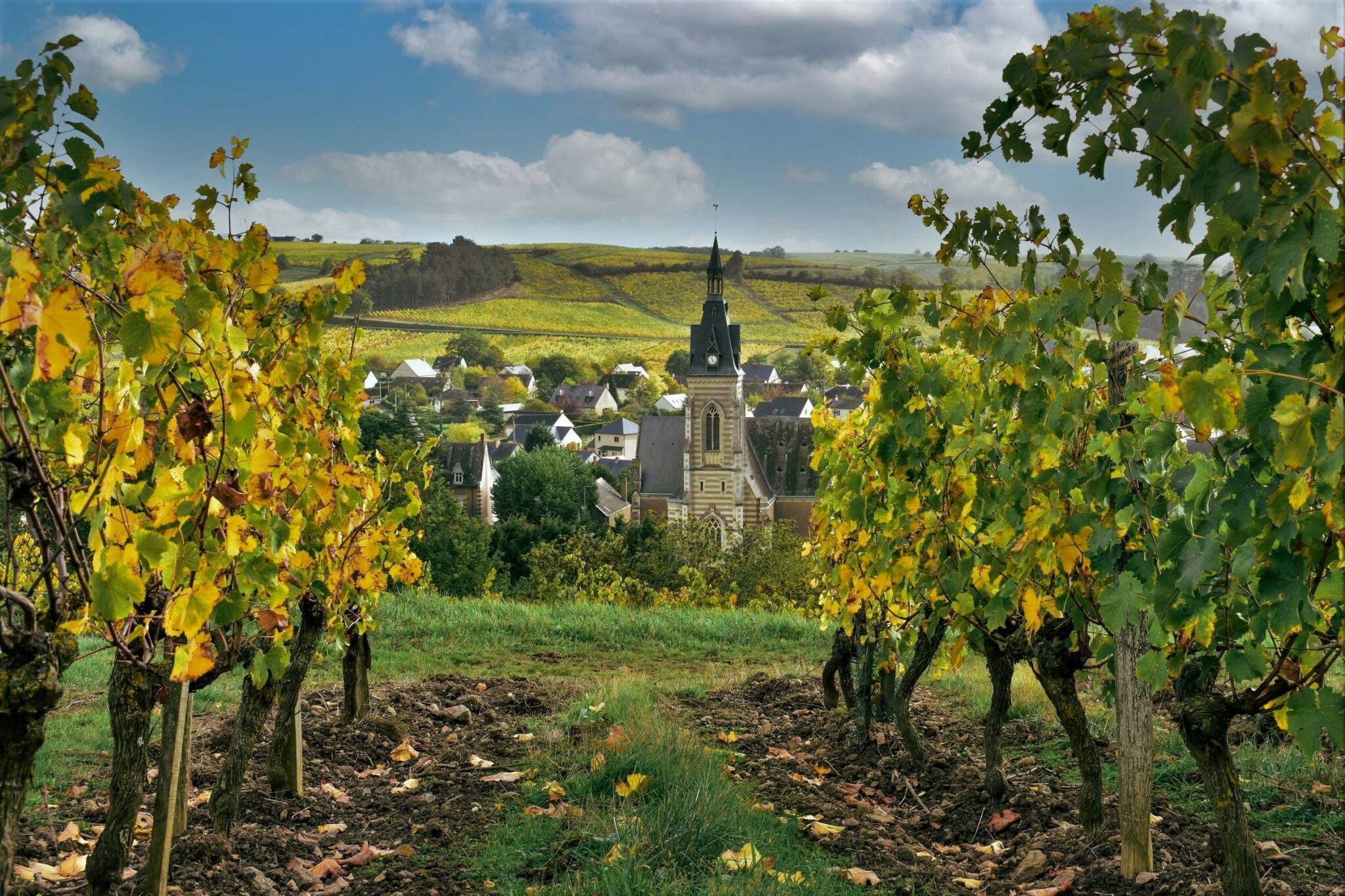 Accueil - Domaine des Forges
